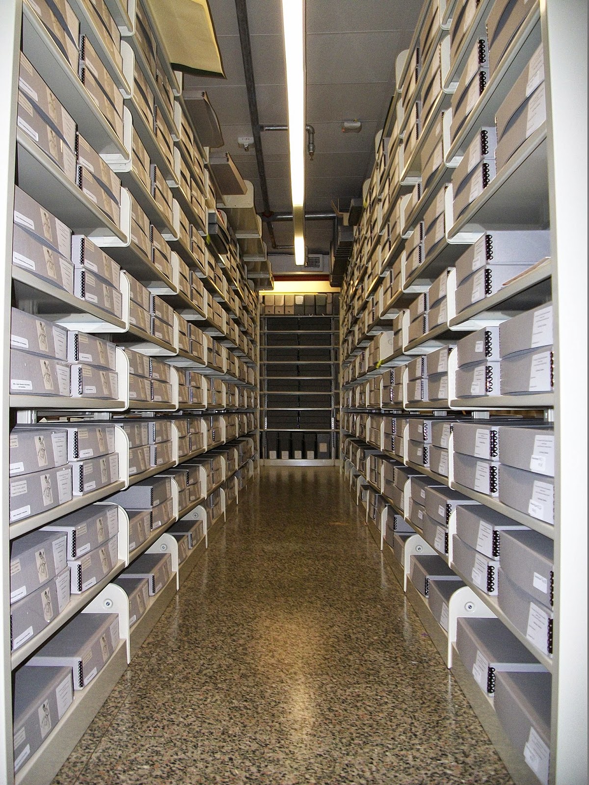 Articulating the Value of Your Archives to Resource Allocators ...