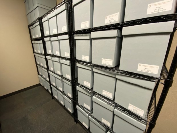 Elizabeth Stauber on the Hogg Foundation Archives Winning an Advocacy ...